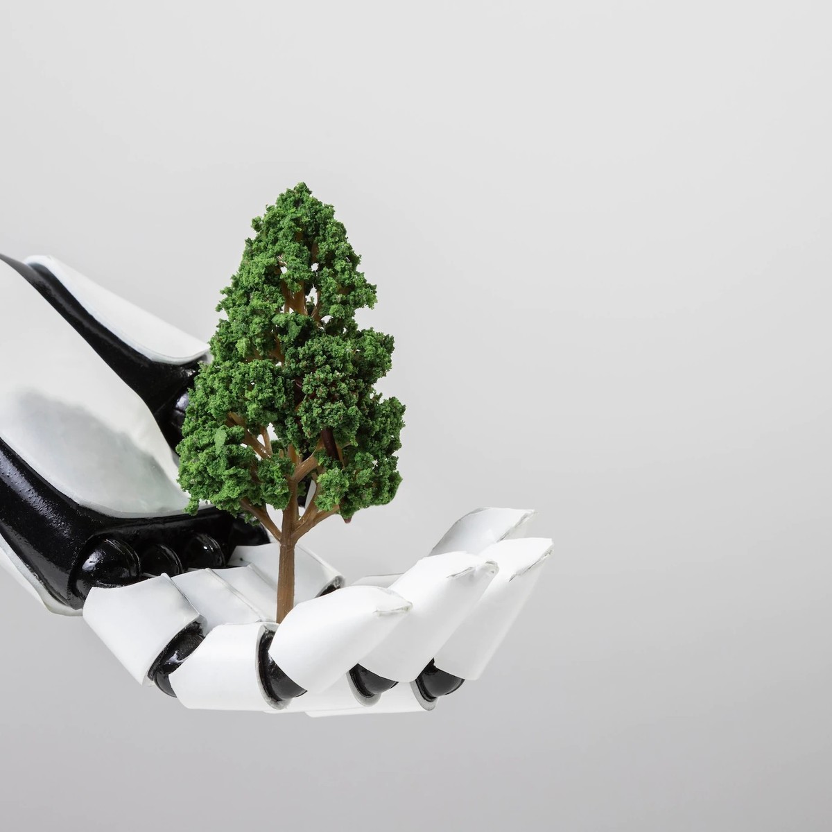 Empresa lança IA que dá respostas sobre questões de sustentabilidade ...