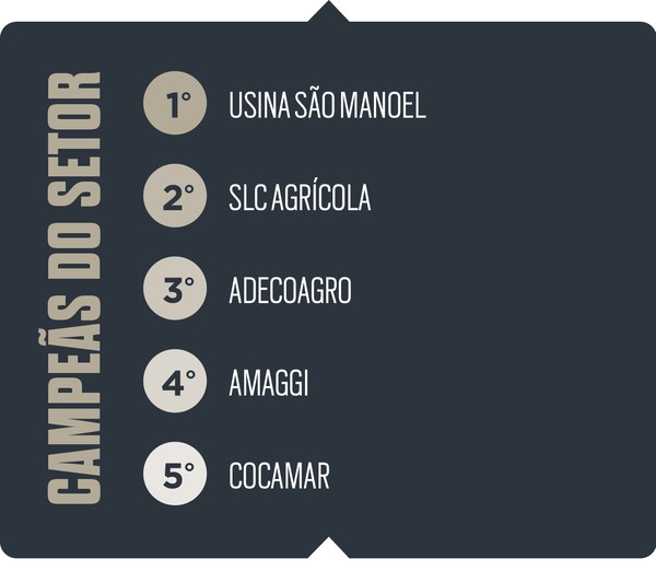 360º: A transformação da Usina São Manoel rumo a novos negócios ...