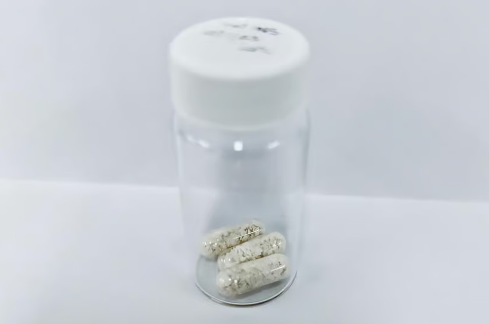 Pesquisadores desenvolvem insulina oral e testes em humanos começam em 2025
