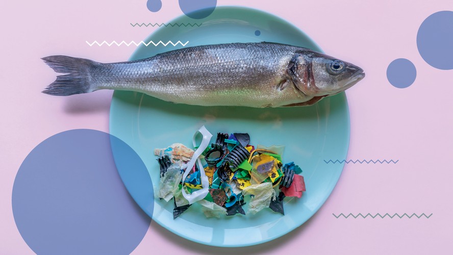 Microplásticos: eles estão em todo lugar, até mesmo no corpo humano ...