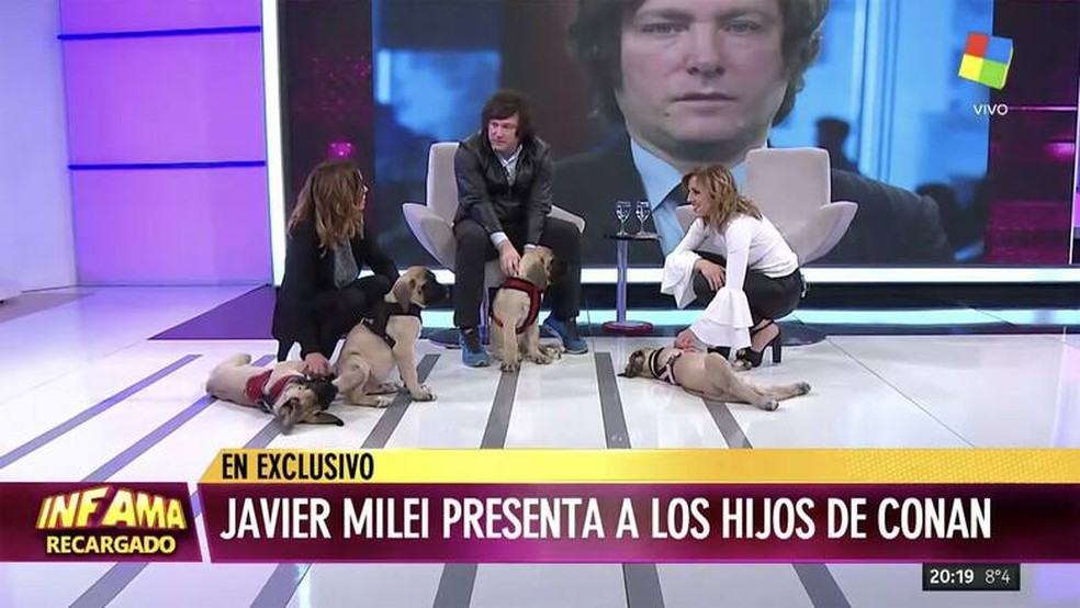 'Caso único': Laboratório dos EUA explica como clonou cachorro Conan de Milei por R$ 245 mil ...