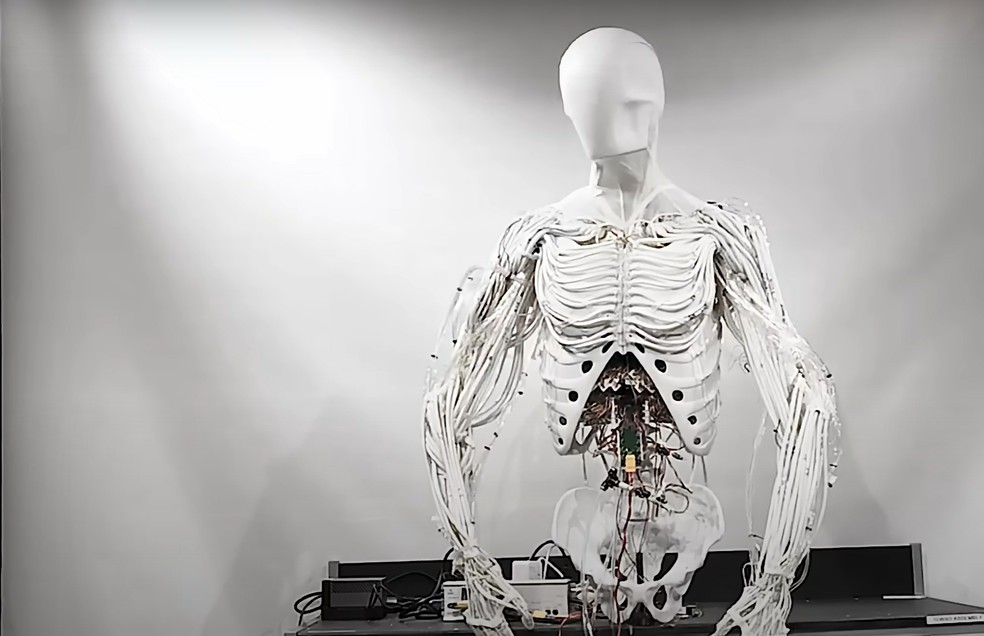 Startup apresenta robôs com músculos e ossos artificiais que imitam com ...
