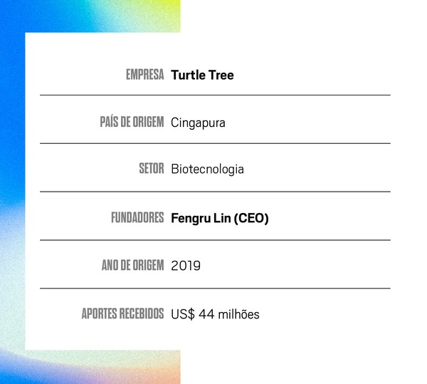 Depois do 'leite sem vaca', Turtle Tree mira crescimento com nova marca ...