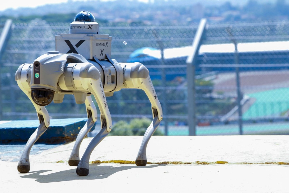 Conheça o cachorro robô que vai reforçar a segurança do Réveillon na ...