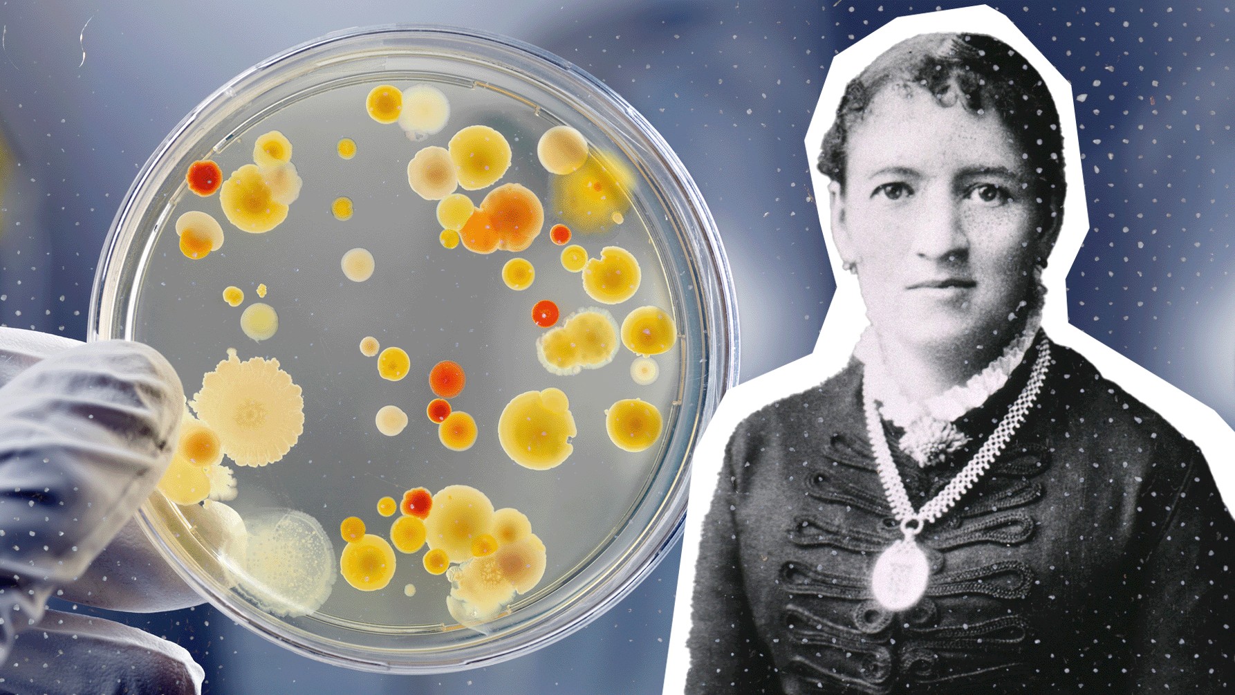 Fanny Angelina Hesse: a mulher que revolucionou a microbiologia com um ...