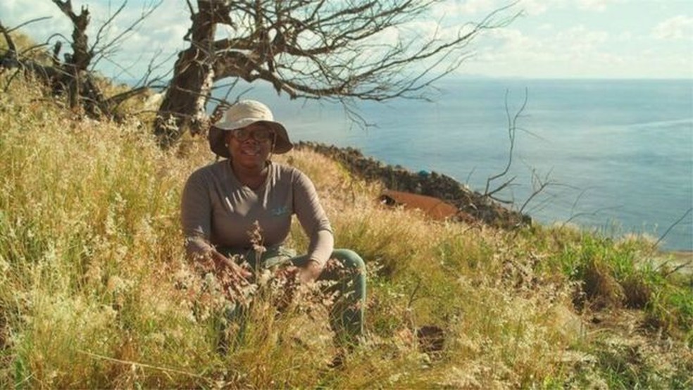 A ilha caribenha que há 7 anos era árida como a Lua e agora é exemplo ...