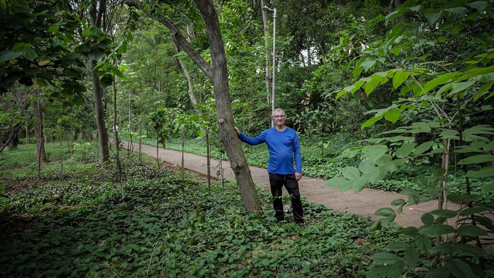 O parque linear que 'brotou' no meio do entulho em São Paulo com ...