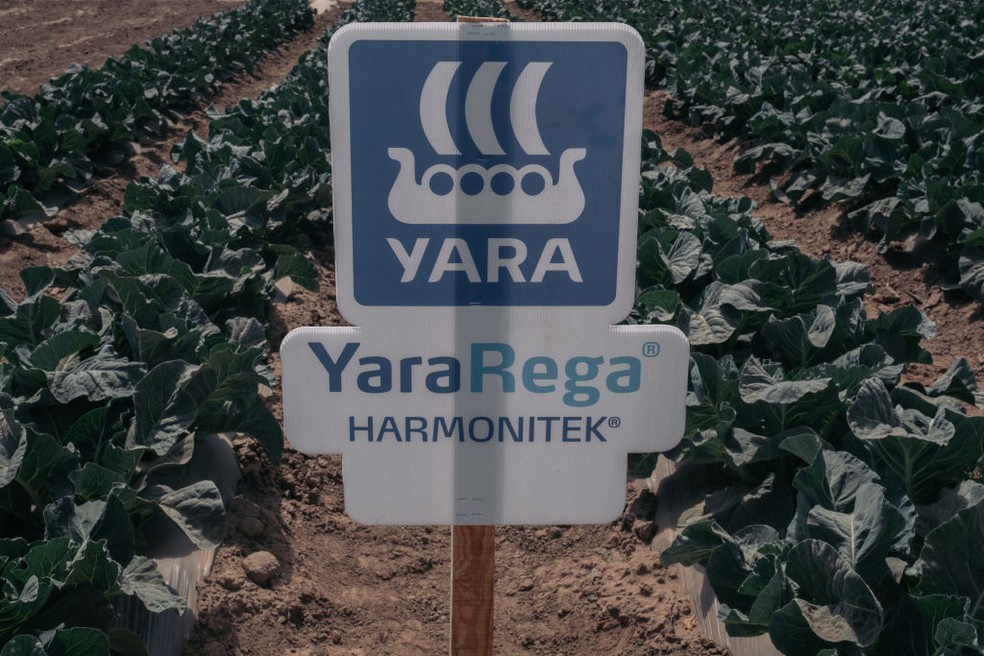 Lucro da Yara cai 68% e atinge US$ 246 milhões no 4º tri de 2023 ...