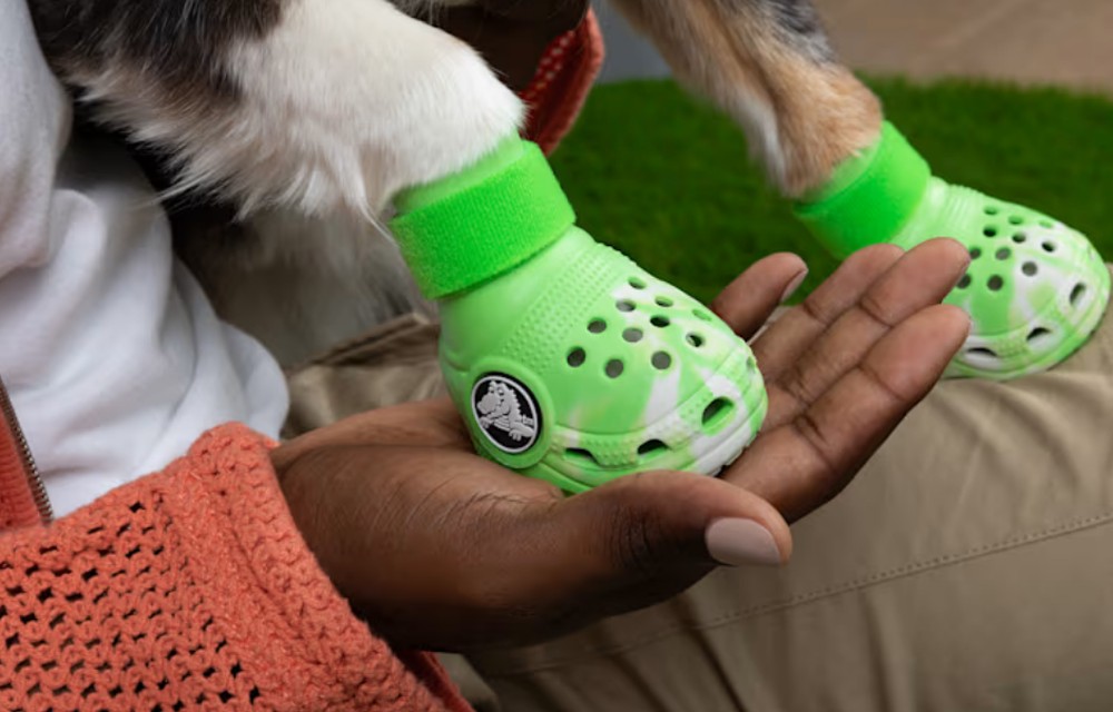 Crocs para cachorros: empresa anuncia lançamento de calçado para pets ...