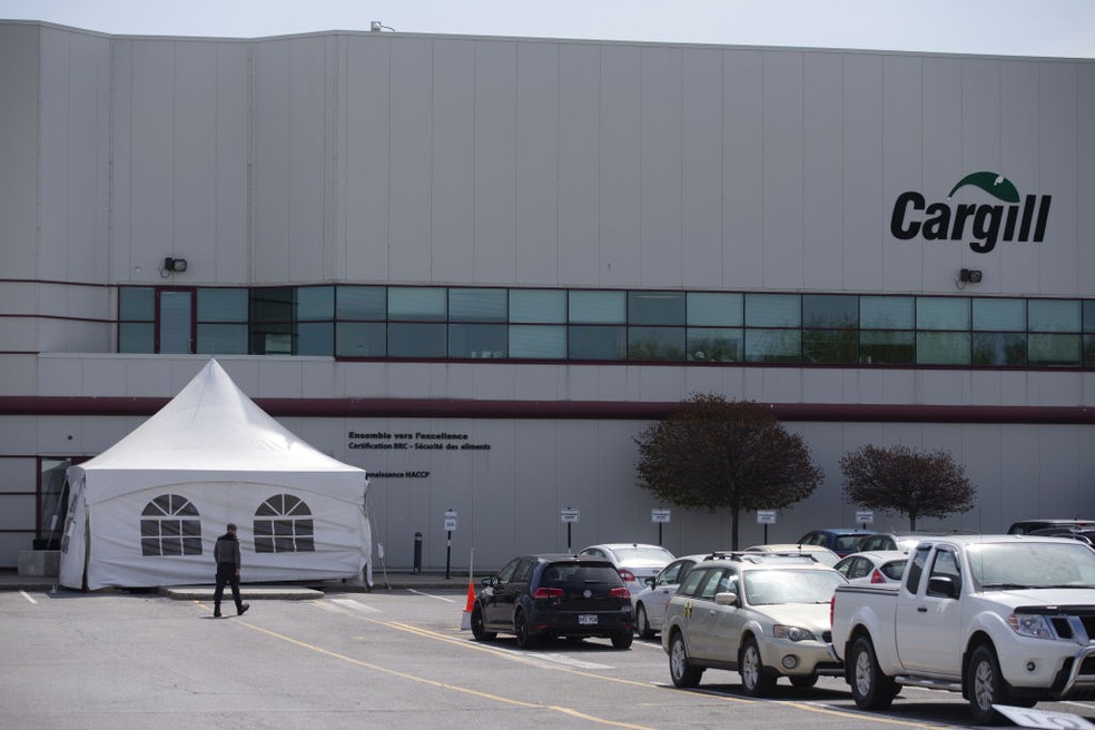 Cargill e Nestlé Purina fecham parceria para investir em agricultura ...