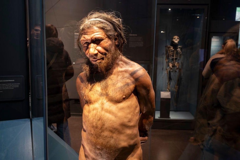 O menino de 140 mil anos que pode ser híbrido mais antigo entre Homo ...
