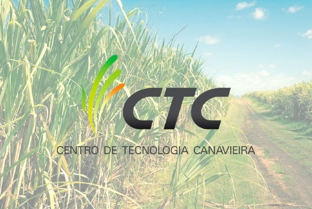 CTC recebe R$180 mi da Finep para investir em biotecnologia de cana e ...