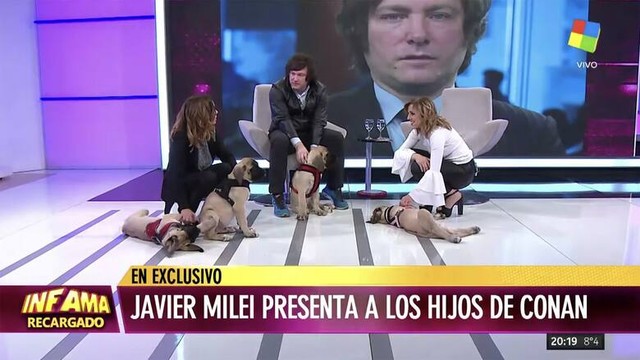 'Caso único': Laboratório dos EUA explica como clonou cachorro Conan de ...