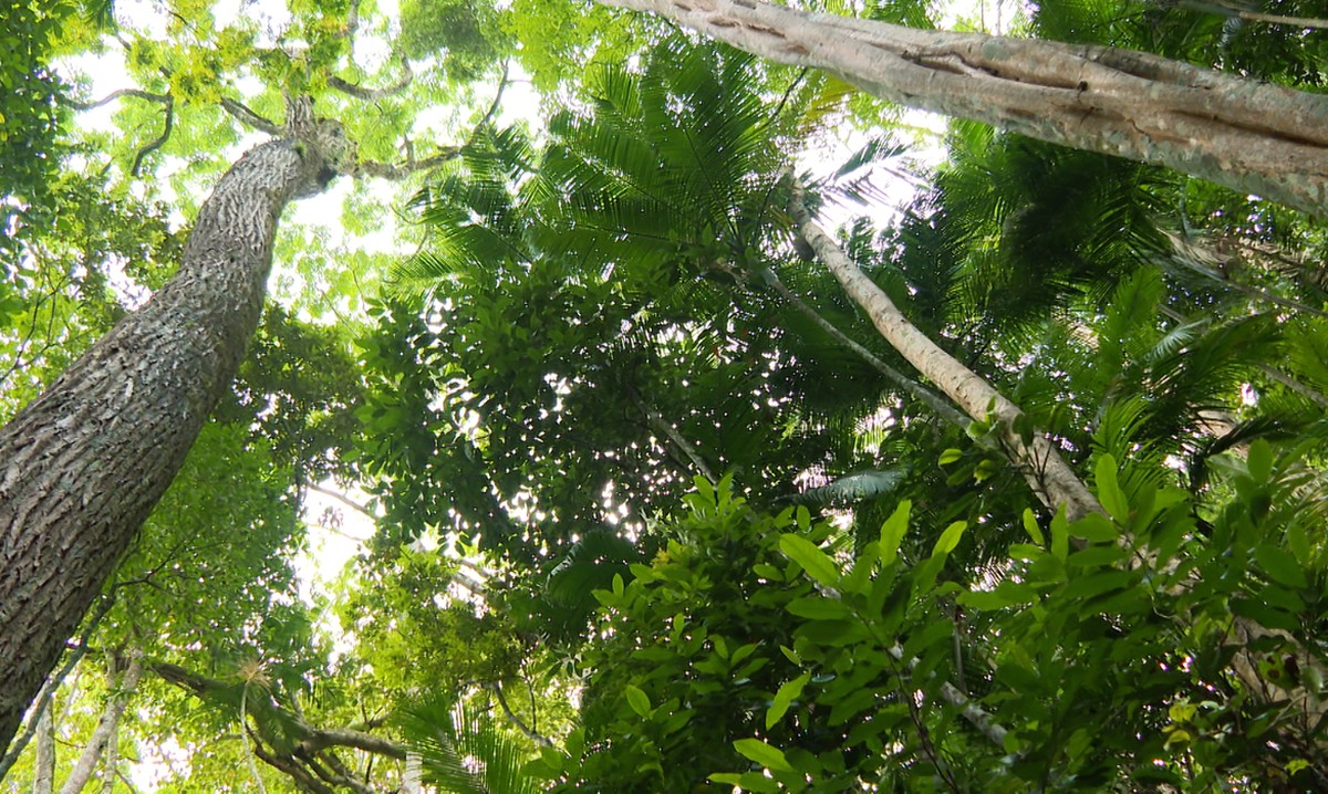 UE propõe alterar projeto de lei de proteção da natureza em busca de ...