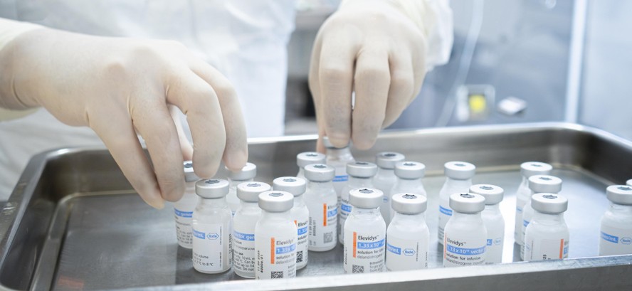 Elevidys: morte de menino de 8 anos após tratamento de quase R$ 20 mi ...