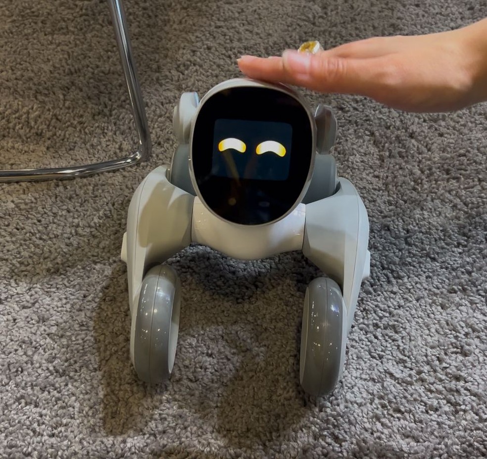 Fofos e companheiros: conheça os robôs-pets apresentados na CES 2025