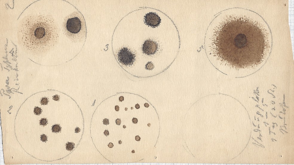 Fanny Angelina Hesse: a mulher que revolucionou a microbiologia com um ...