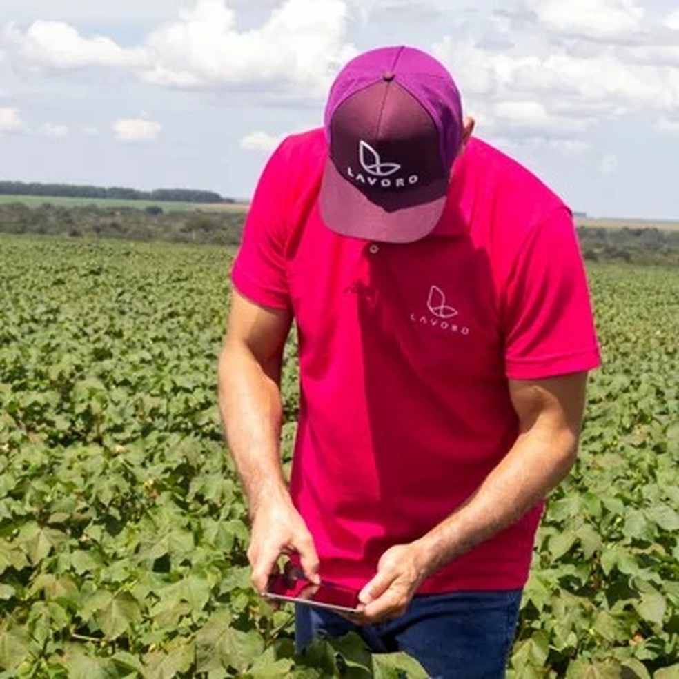 Lavoro faz parceria com Pattern Ag para oferecer serviços a ...