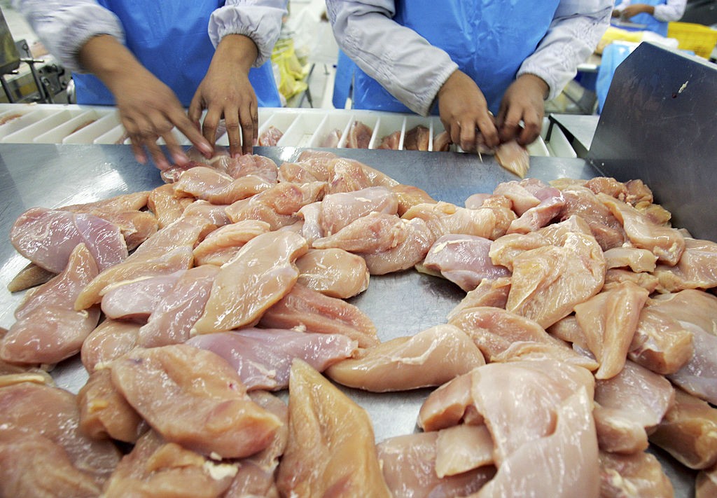 Argélia abre mercado para carne de frango brasileira