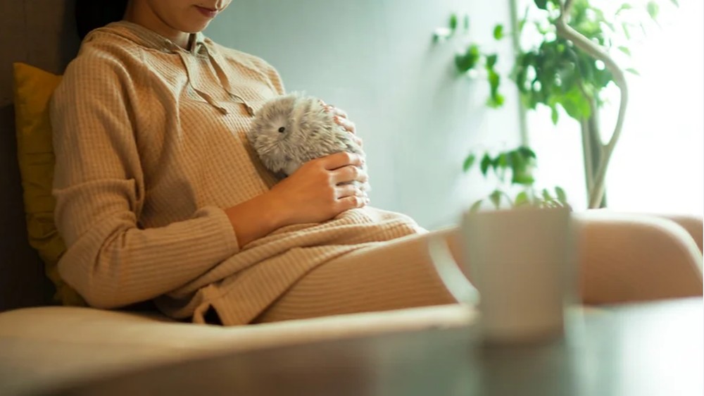 Empresa japonesa lançará robô de pelúcia que usa IA para aprender sobre ...