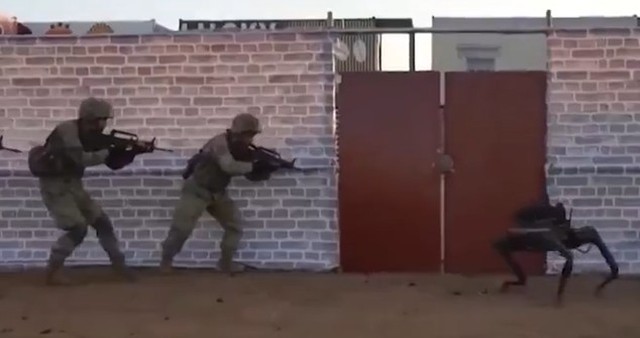 'Cães-robôs' com fuzis aparecem em treinamento do Exército chinês ...