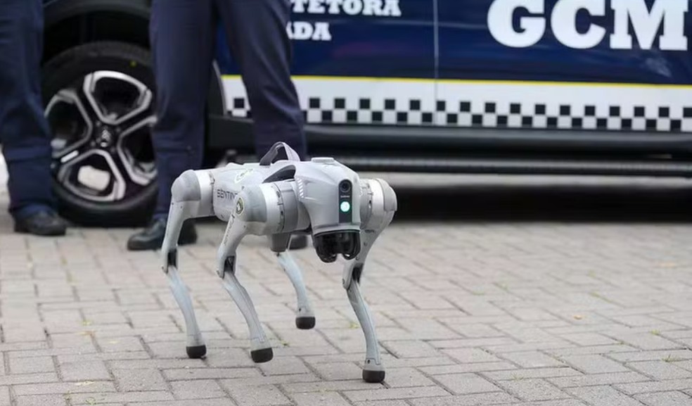 Carnaval 2025: Cachorro-robô e drones vão reforçar segurança dos ...