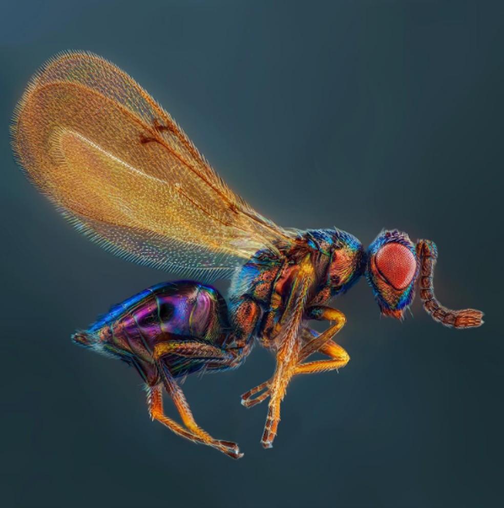 Fotógrafo cria processo inovador para combinar centenas de fotos e ...