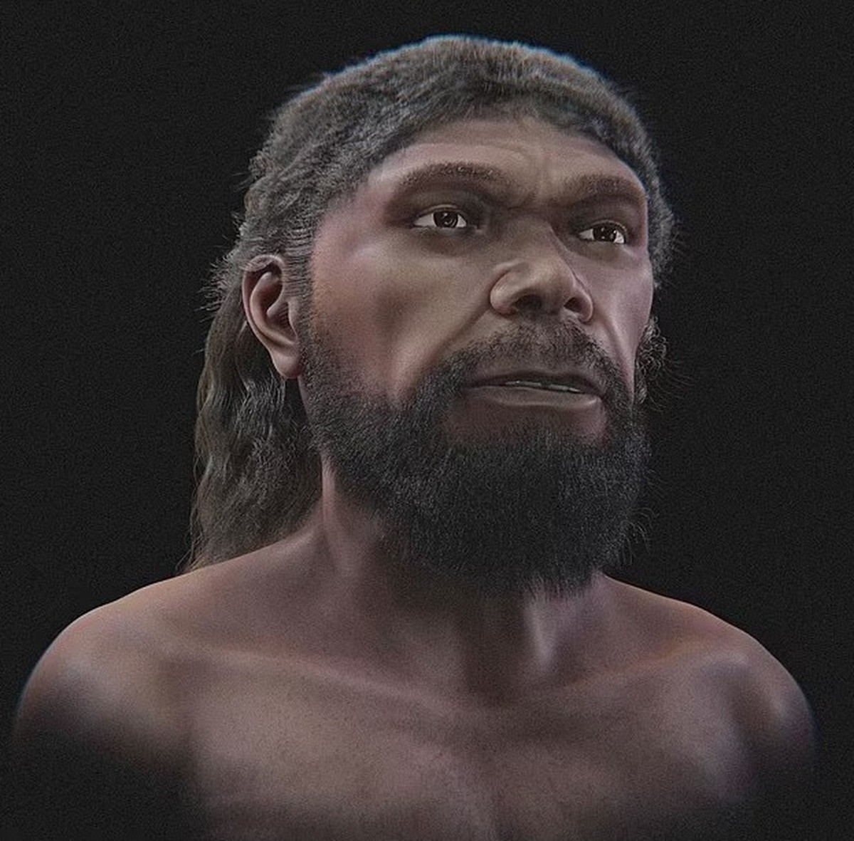 Rosto do primeiro Homo sapiens é revelado 300 mil anos após sua morte