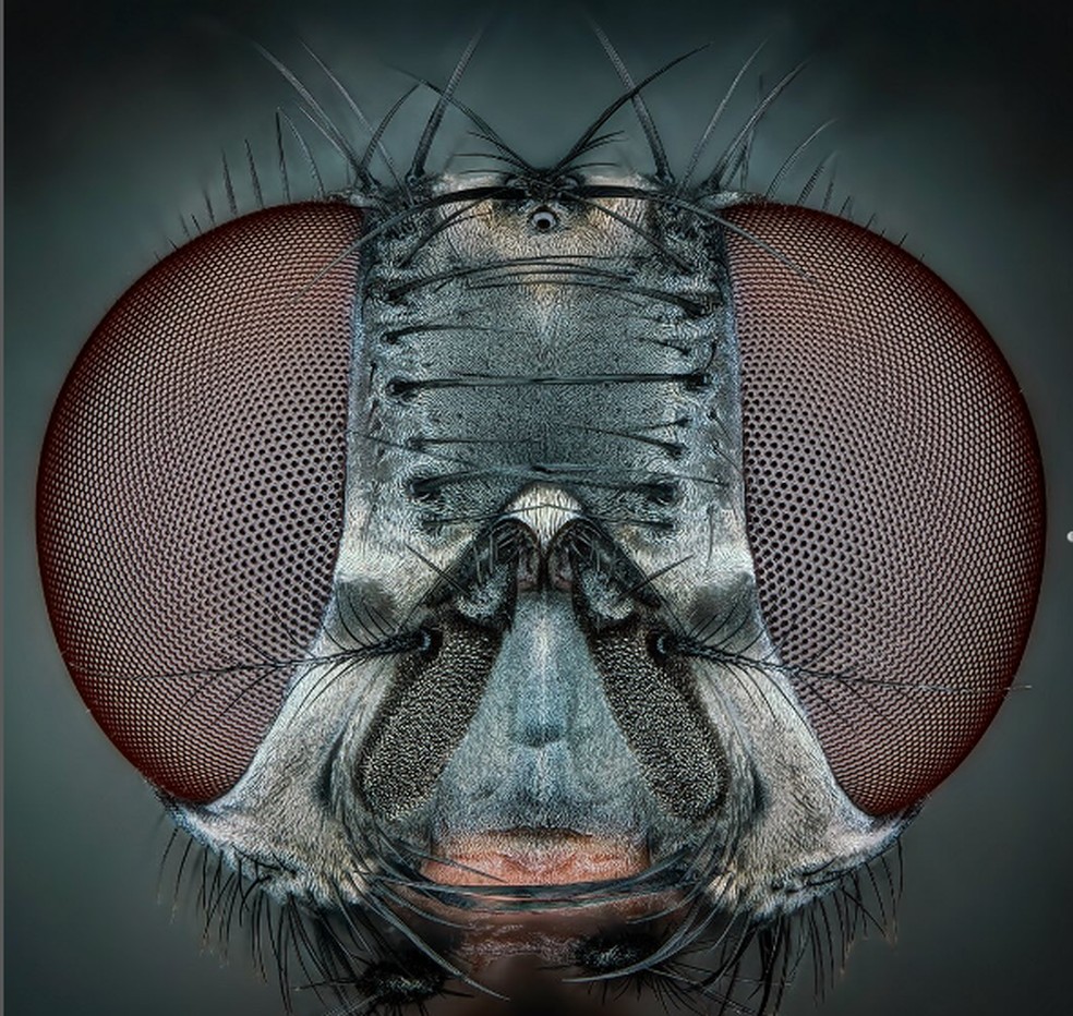 Fotógrafo cria processo inovador para combinar centenas de fotos e ...