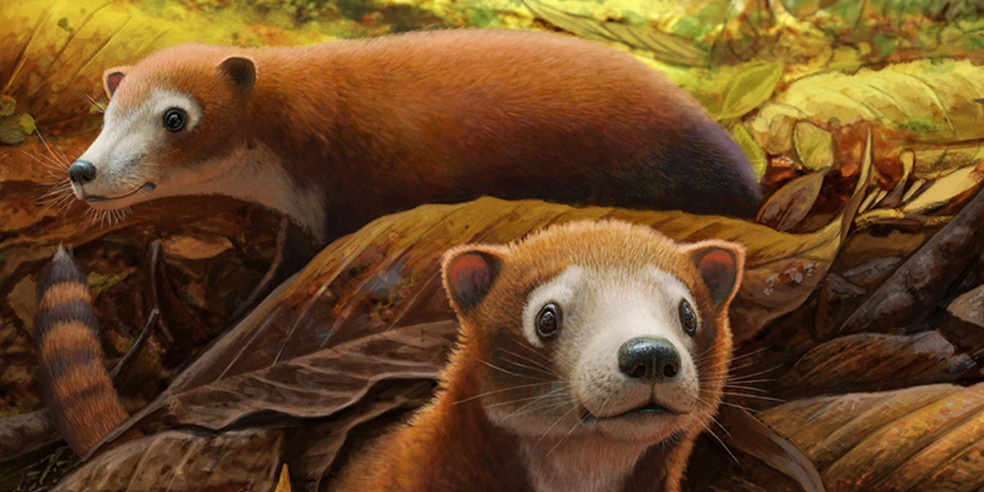 Cientistas usam técnicas avançadas de digitalização e 3D para descobrir ...