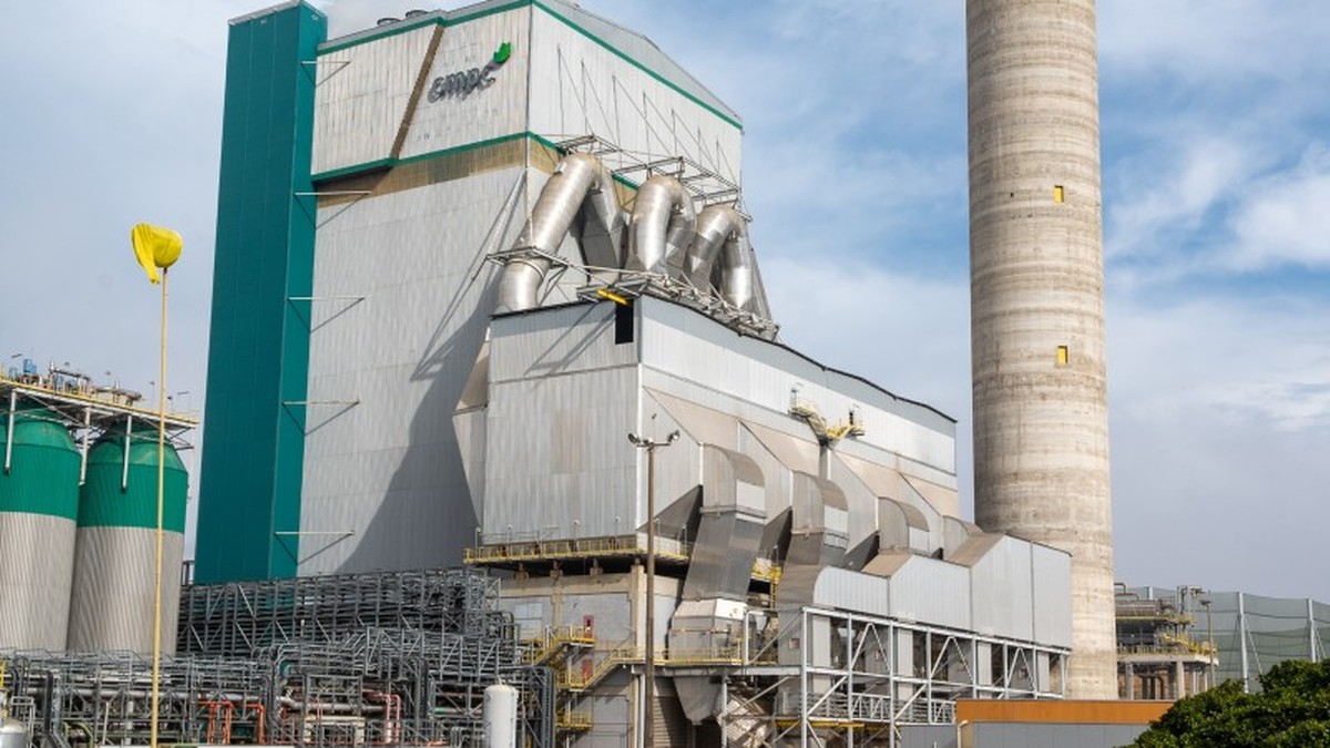 Gigante da celulose chilena CMPC apresenta fundo de inovação de US$ 100 ...