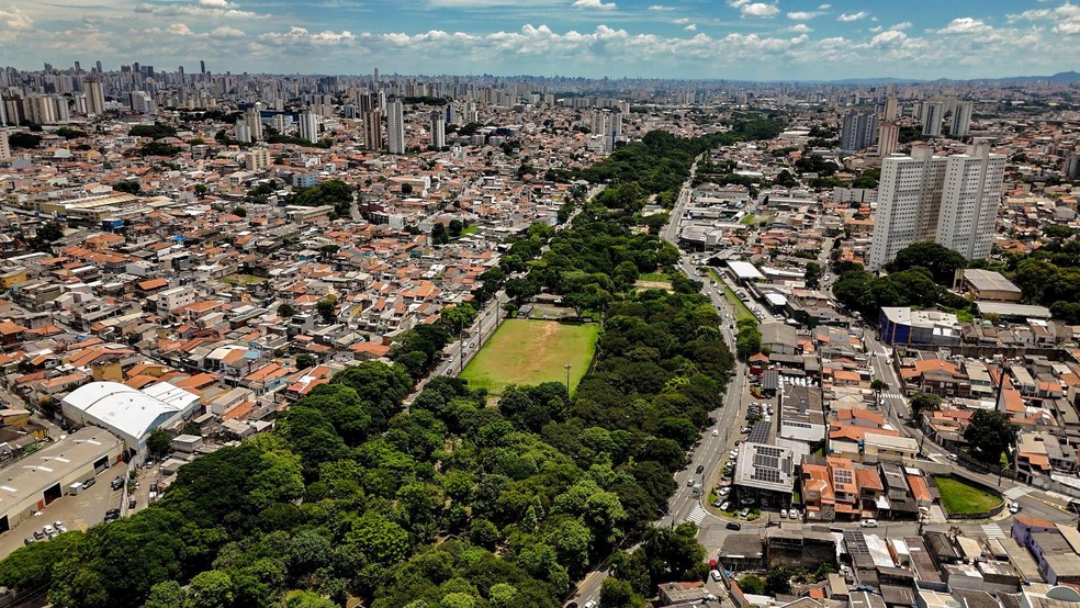 O parque linear que 'brotou' no meio do entulho em São Paulo com ...